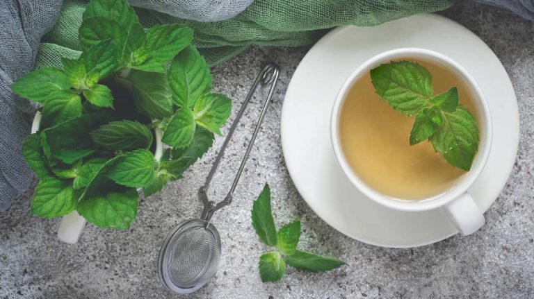 The Tea Gurus